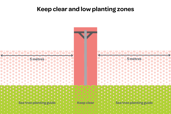 Trees near power lines | The Orion Group