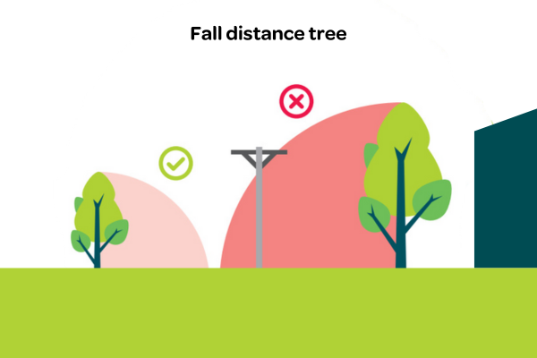 Trees near power lines | The Orion Group