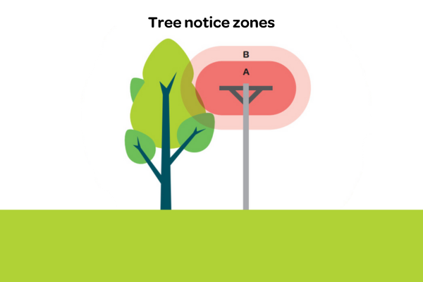 Trees near power lines | The Orion Group
