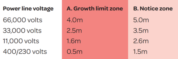 Trees near power lines | The Orion Group